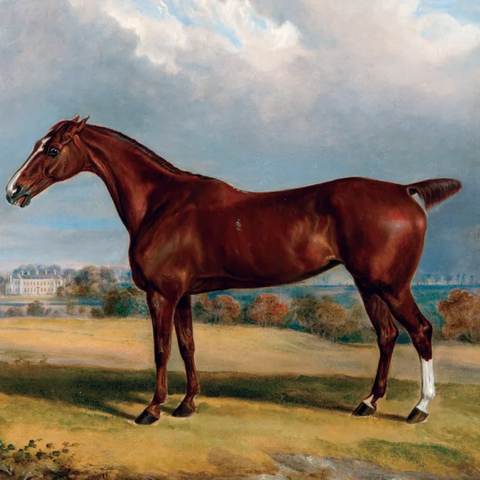 William Webb – EVERETT FINE ART